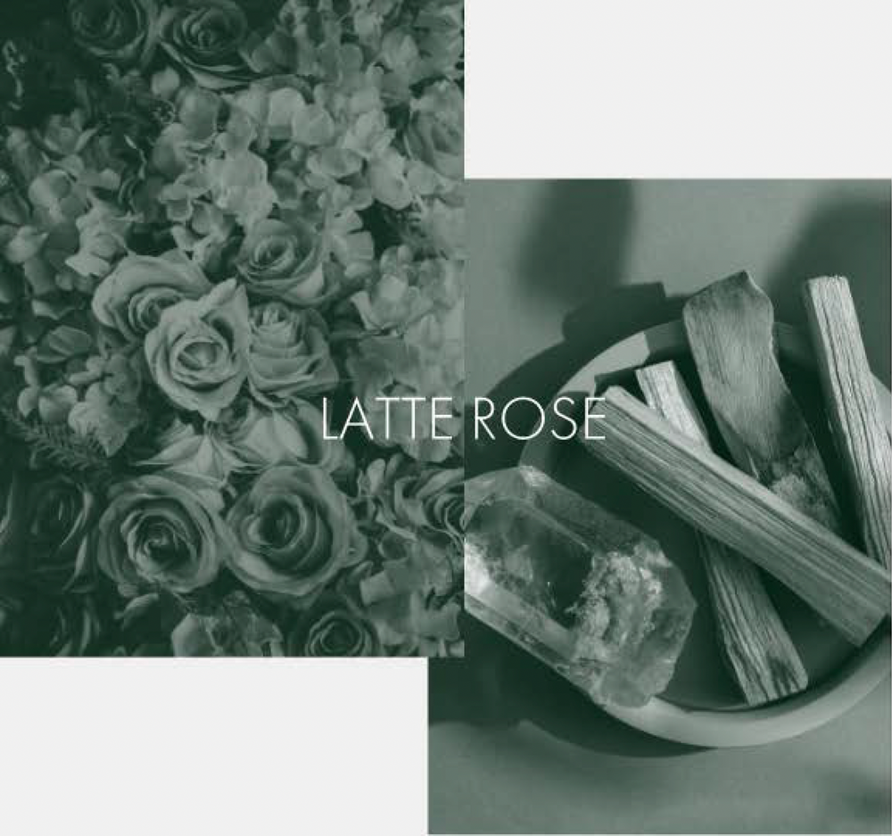 LOA LATTE ROSE | ラテローズ